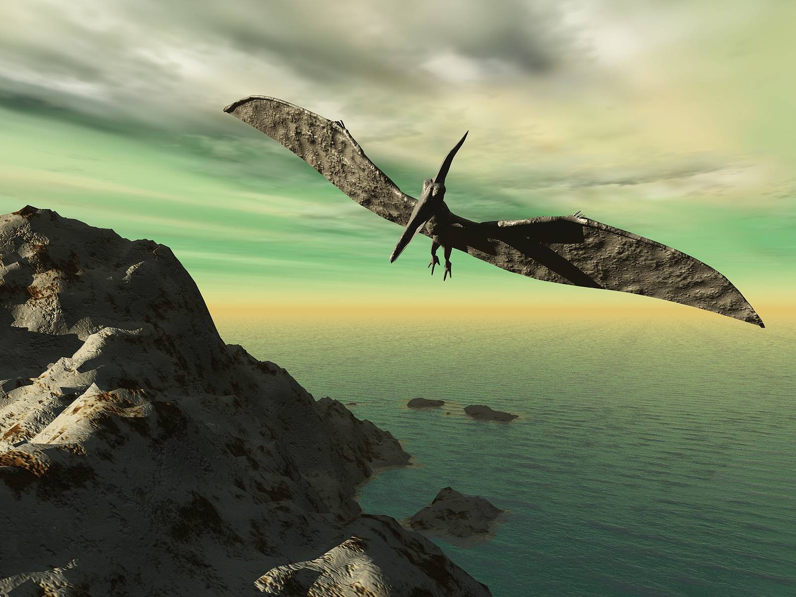 Ptérodactyle, Nadja Heuer