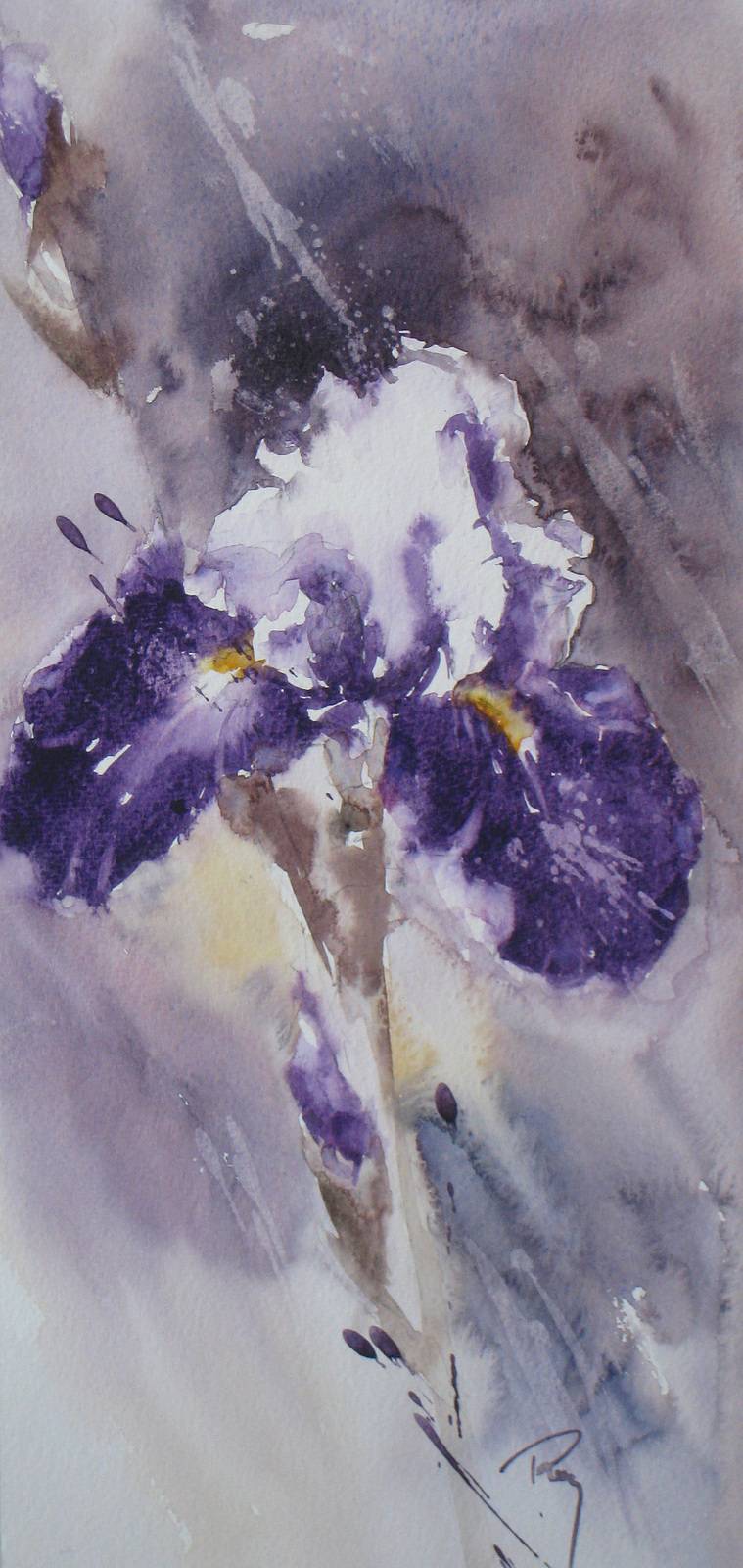 Port de tête, Page 8, Catherine Rey, Aquarellistes, Artistes